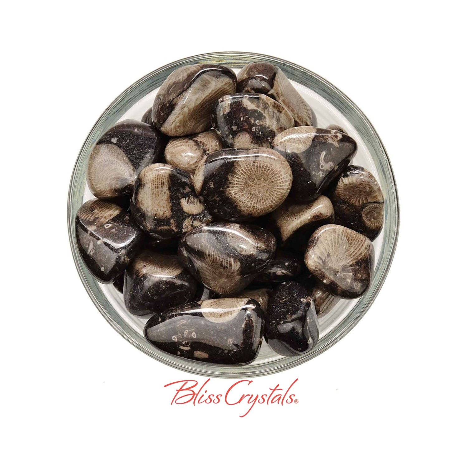 Vatican Stone Tumbled Stone Embracing Ancestral Roots – Bliss Crystals