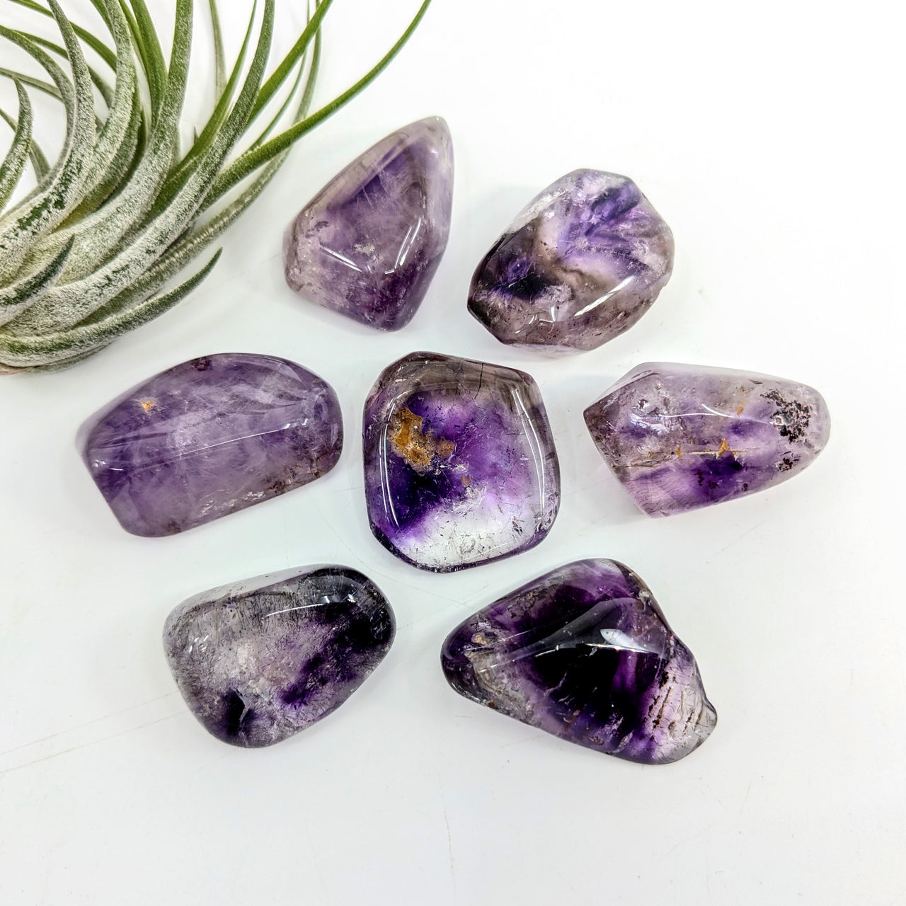 Shop Amethyst Collection | Bliss Crystals