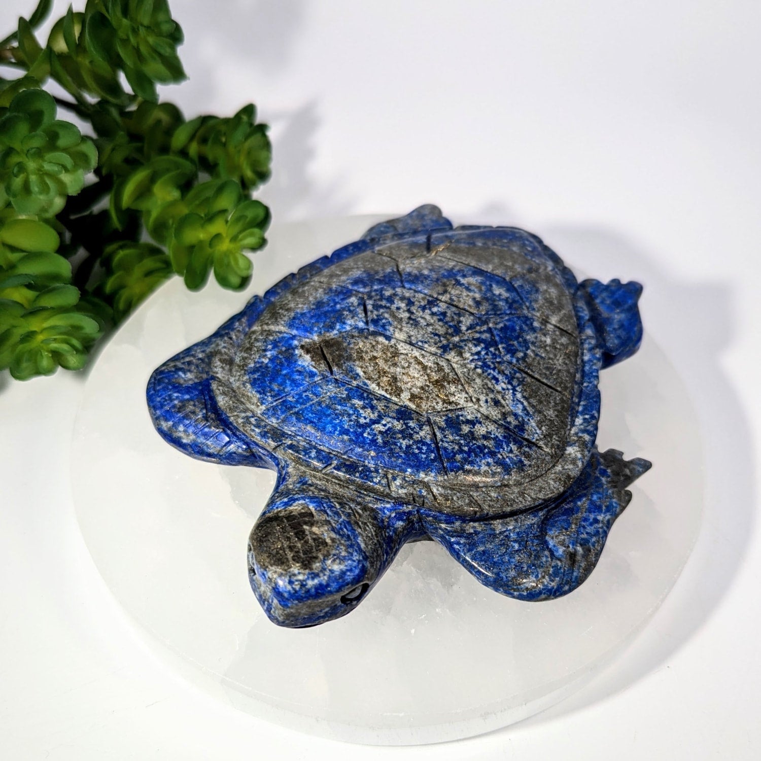Lapis Lazuli Deep Blue Sea Turtle Carving 4.5 Inch – Bliss Crystals