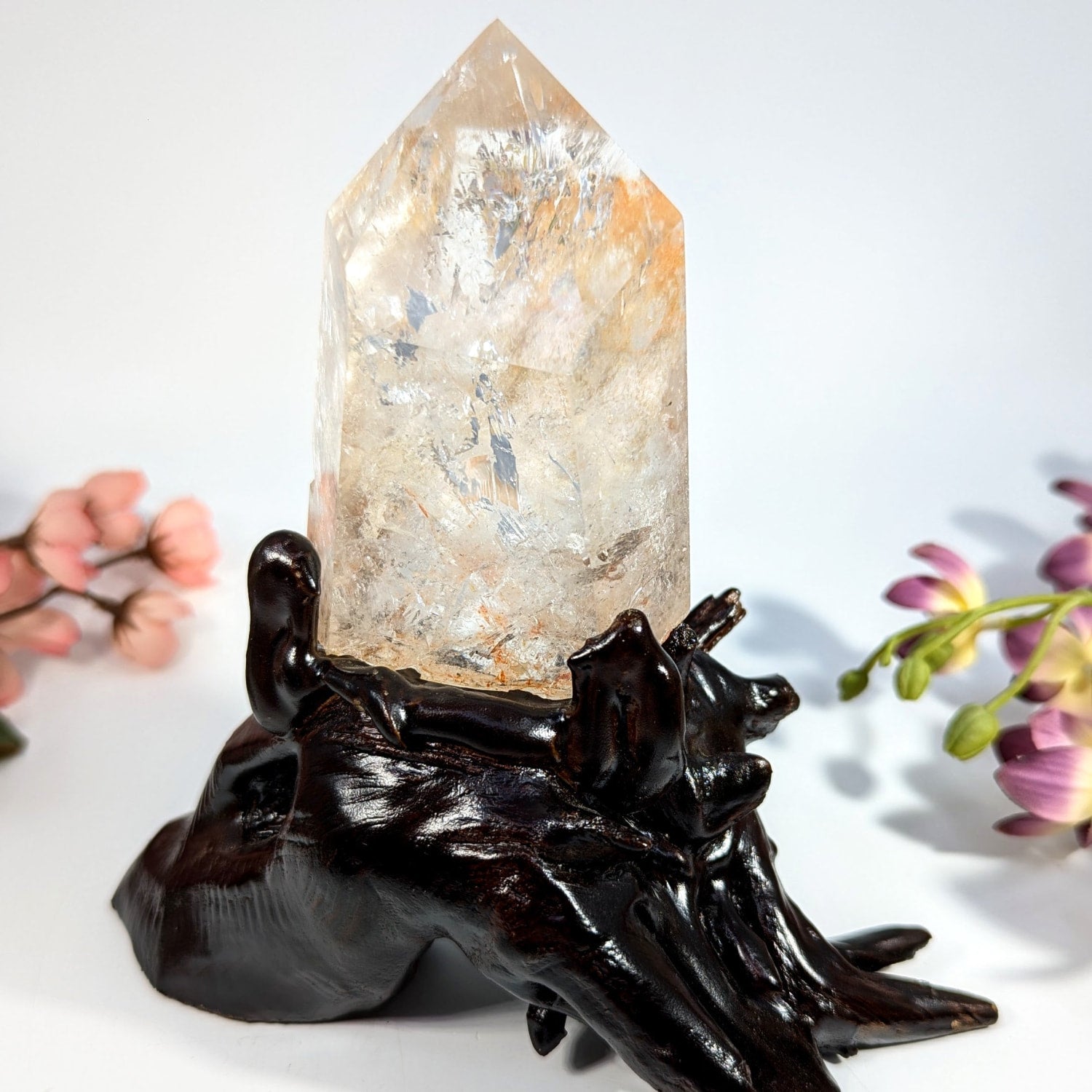 Clear Quartz Crystal Point 5.4in Wooden Branch Stand – Bliss Crystals