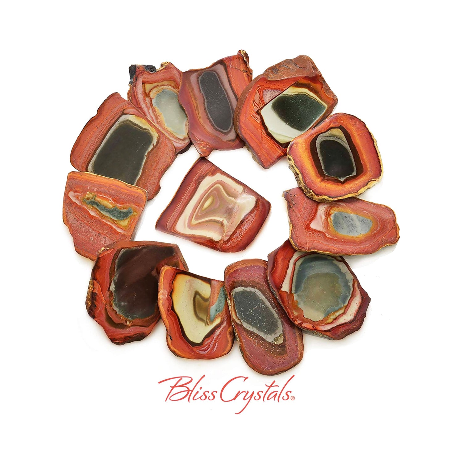 Extra Large Polychrome Jasper Palm Stone Slab – Bliss Crystals