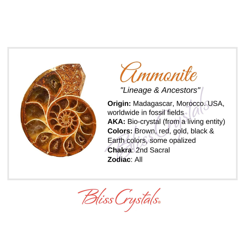 AMMONITE Crystal Information Card, Double sided #HC48 – Bliss Crystals